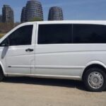 Istanbul Sabiha Gokcen Airport Private Transfer - Who Will Benefit Most from This Service?