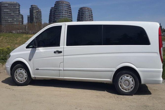 Istanbul Sabiha Gokcen Airport Private Transfer - Who Will Benefit Most from This Service?