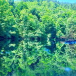 Istanbul: Sapanca, Bolu, Safranbolu and Amasra guided tour - What Makes This Tour Special