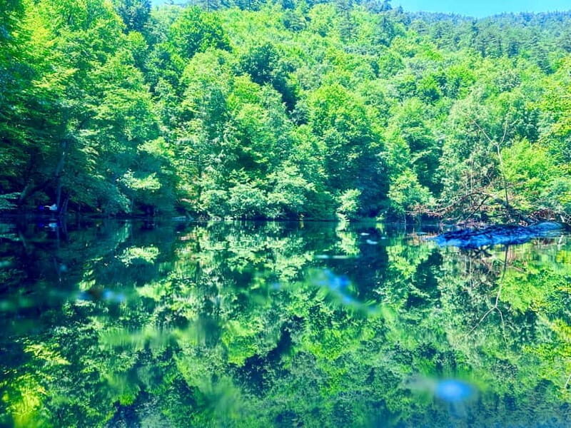 Istanbul: Sapanca, Bolu, Safranbolu and Amasra guided tour - What Makes This Tour Special