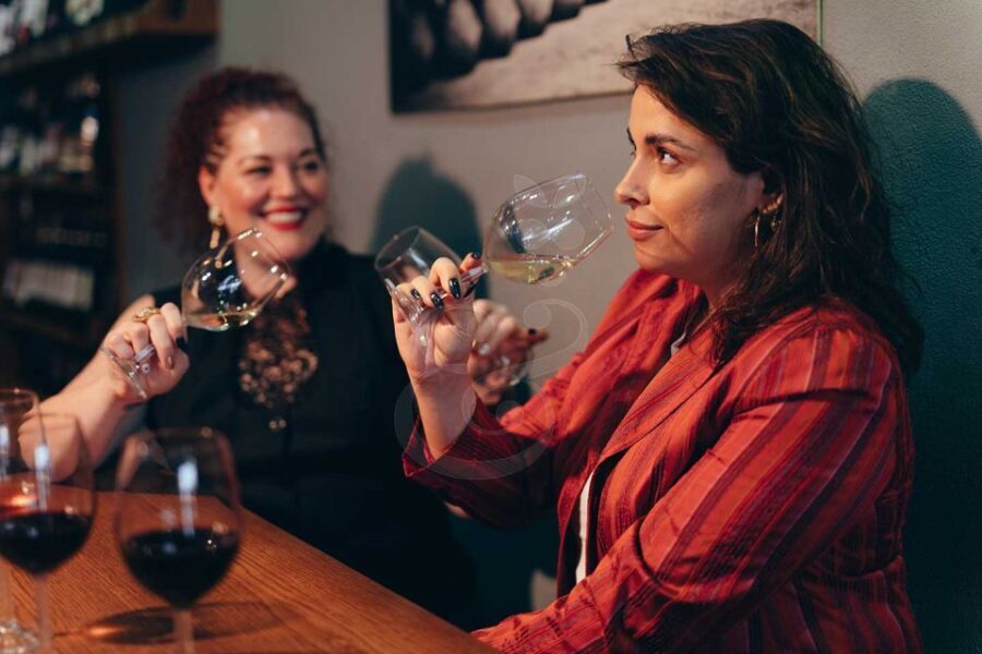 Istanbul: Wineries Tour with a Private Sommelier - How the Tour Unfolds
