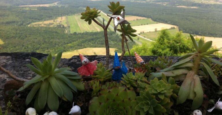 Istria: Guided Tour of Inner Istria with Food Tasting - The Value of This Tour