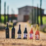 Istria: Pervino wine tasting - What to Expect at the Pervino Winery