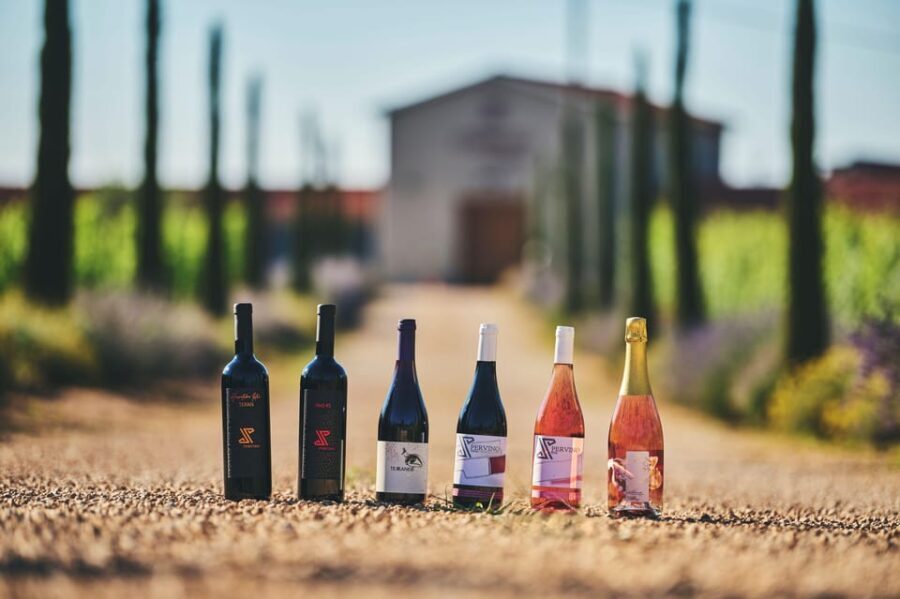 Istria: Pervino wine tasting - What to Expect at the Pervino Winery