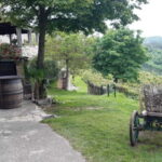 Istria: Unknown Istria and "World's Smallest City" Hum - The Itinerary Breakdown