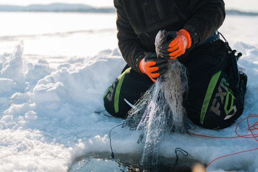 Ivalo: Reindeer Herders and Winter Fishing with Lunch - Analyzing the Experience: The Value Proposition