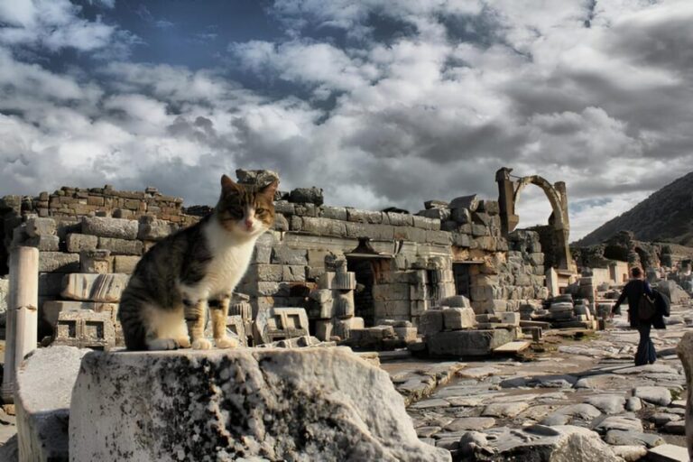 Izmir : Ephesus and Sirince Guided Tour - What You Can Expect on the Tour