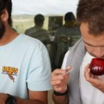 Jaén: Aires de Jaén Olive Oil Tasting Class - Value Analysis: Is It Worth $10?