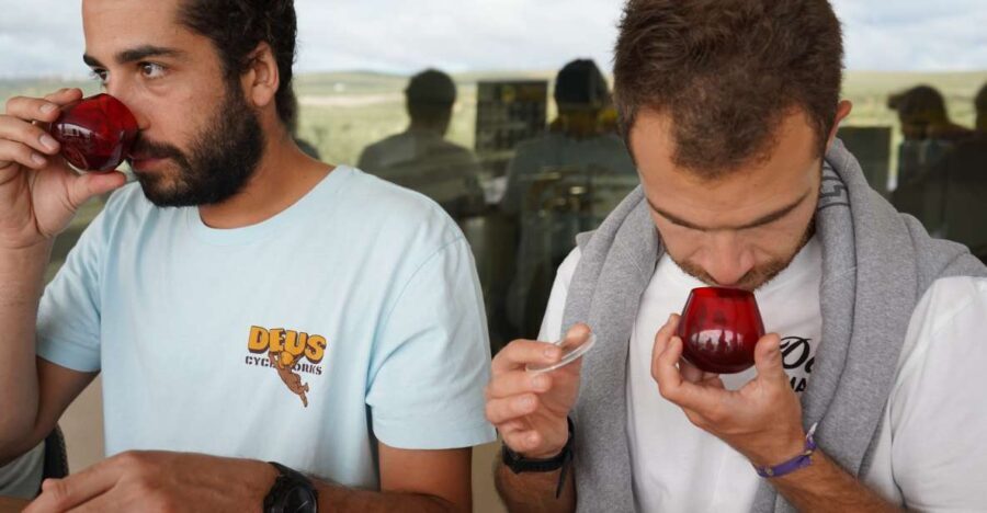 Jaén: Aires de Jaén Olive Oil Tasting Class - Value Analysis: Is It Worth $10?