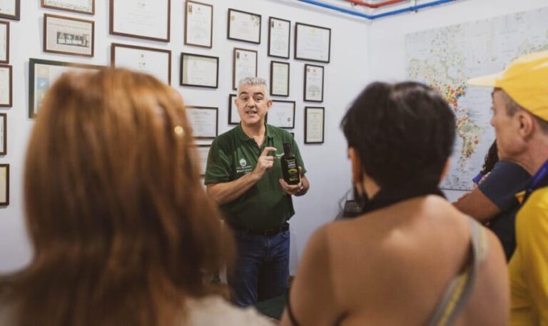 Jaén: Guided Olive Mill Tour with Olive Oil Tasting - Practical Details and Tips