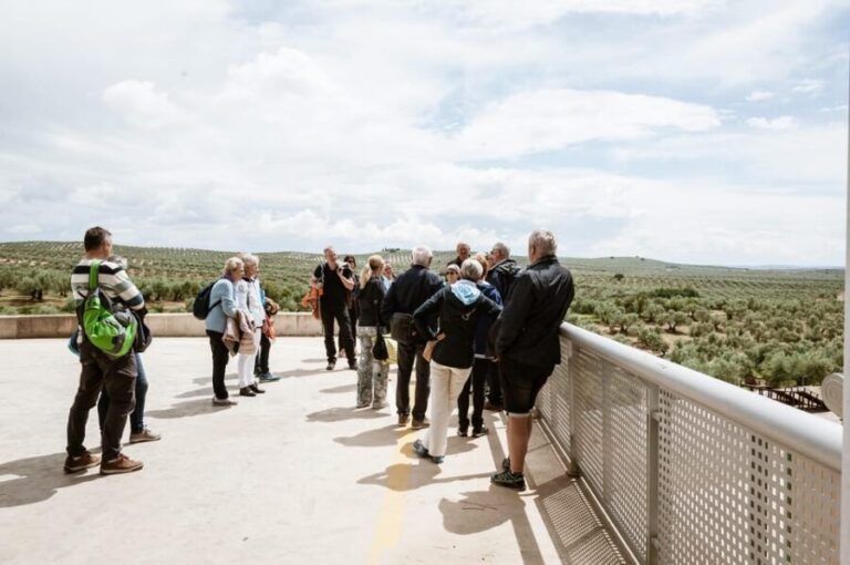 Jaén: Unforgettable visit to the olive mill + EVOO tasting - Exploring the Details: What Makes This Tour Worth Your While