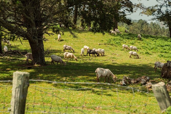 JAIZKIBEL TREKKING - Private Outdoor Adventure - Key Points