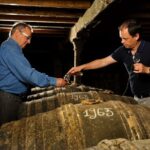 Jarnac-Champagne: Tour at Château Montifaud Cognac ENG - Analyzing the Value and Practicalities
