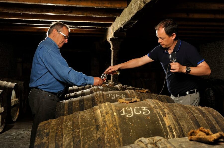 Jarnac-Champagne: Tour at Château Montifaud Cognac ENG - Analyzing the Value and Practicalities