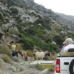 Jeep Driving Tour to Thripti Mountains and typical villages - An In-Depth Look at the Itinerary and Experience