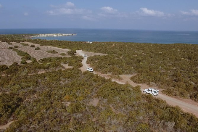 Jeep Safari Akamas from Paphos - Starting the Adventure: Pickup and Introduction