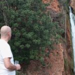 Jeep Safari Half Day Discover the Real Algarve in a 4x4 Vehicle - Overall Value and Experience