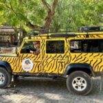 Jeep Safari Tours- Half Day - Detailed Breakdown of the Itinerary