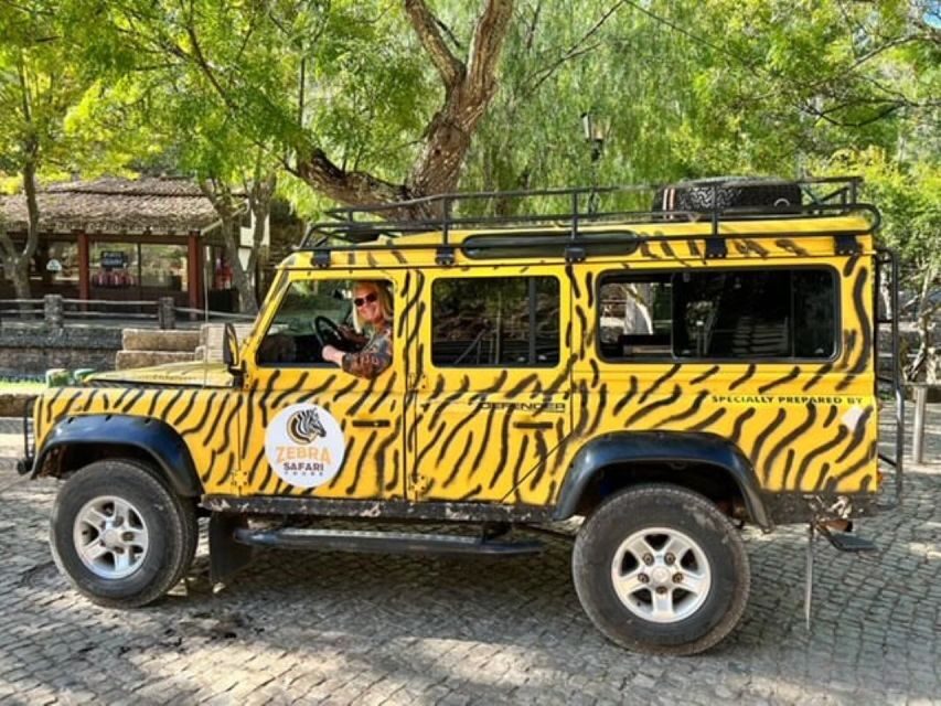Jeep Safari Tours- Half Day - Detailed Breakdown of the Itinerary