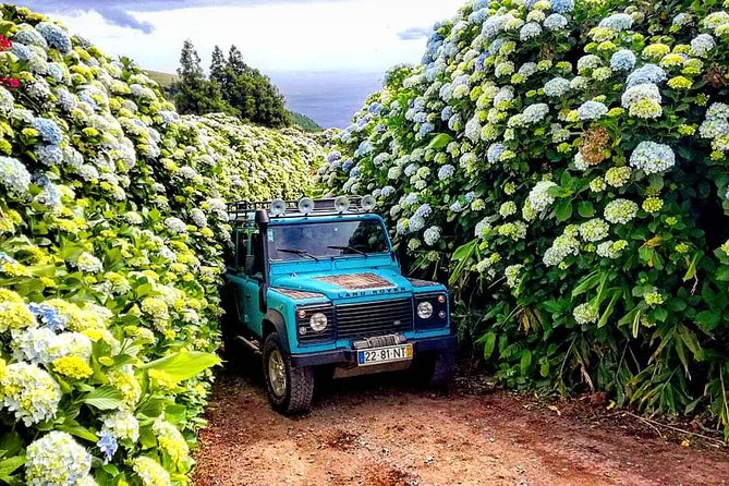 Jeep Tour Full Day Sete Cidades & Lagoa do Fogo with lunch and drinks included. - Exploring São Miguel in Style: A Full-Day Jeep Tour of Sete Cidades & Lagoa do Fogo