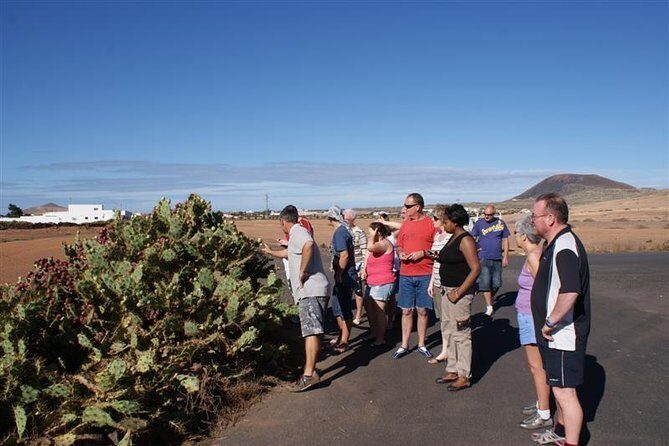 Jeep Tour to Cotillo and Northern Area of Fuerteventura - Final Thoughts
