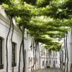Jerez, Bodega Tío Pepe y Real Escuela de Arte Ecuestre - Practicalities: What You Need to Know