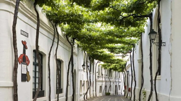 Jerez, Bodega Tío Pepe y Real Escuela de Arte Ecuestre - Practicalities: What You Need to Know