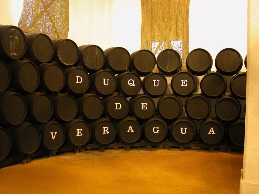 Jerez: Bodegas Álvaro Domecq Guided Tour with Wine Tasting - Practical Tips for Visitors