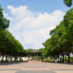 Jerez City Guided Tour and Winery Visit - Who Will Love This Tour?