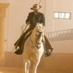 Jerez de la Frontera: How the Andalusian Horses Dance - The Practicalities