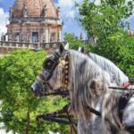 Jerez: Historic Center Guided Tour - Key Highlights: What The Tour Includes