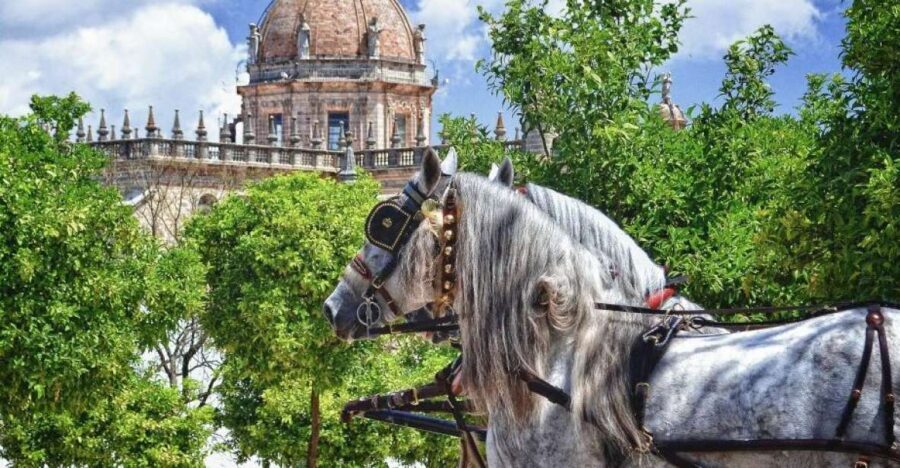 Jerez: Historic Center Guided Tour - Key Highlights: What The Tour Includes
