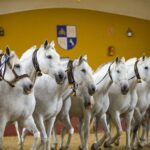Jerez: Yeguada de la Cartuja Carthusian Horses Tour - Key Points