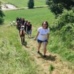 Jettingen-Scheppach: Alpaca hike through the Mindeltal - Why You Should Consider This Tour