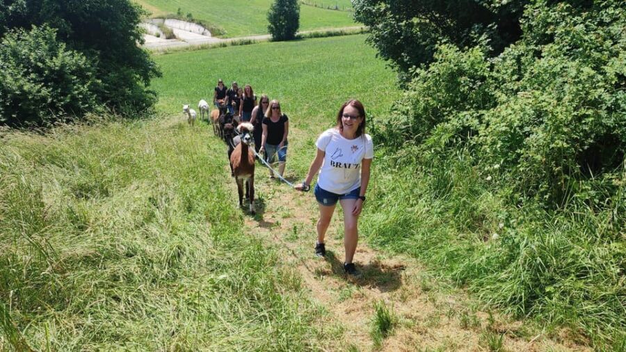 Jettingen-Scheppach: Alpaca hike through the Mindeltal - Why You Should Consider This Tour