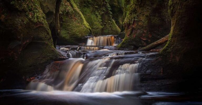 Join the Dark Side of Magical Nature - What to Expect on Your Adventure