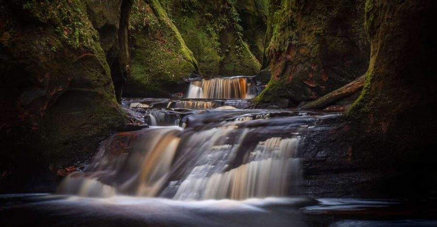 Join the Dark Side of Magical Nature - What to Expect on Your Adventure