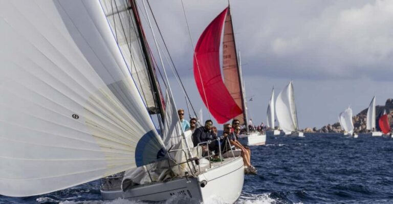 Join us for real sailing experience in Maddalena archipelago - The boat: Race-inspired sailboat with comfort