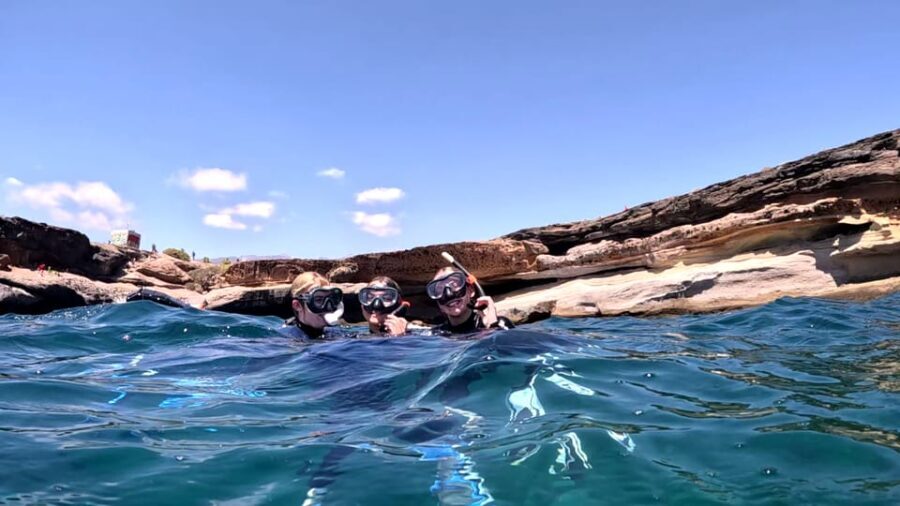 Join us on a snorkel boat tour - What Makes This Tour Stand Out