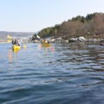Jørpeland: Guided fjordtour kayak - A Closer Look at the Itinerary