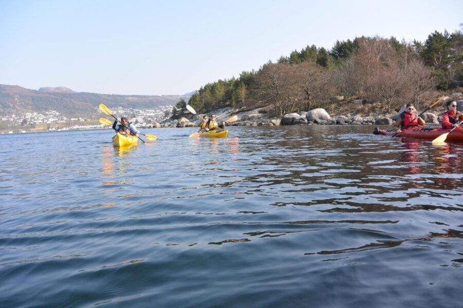 Jørpeland: Guided fjordtour kayak - A Closer Look at the Itinerary