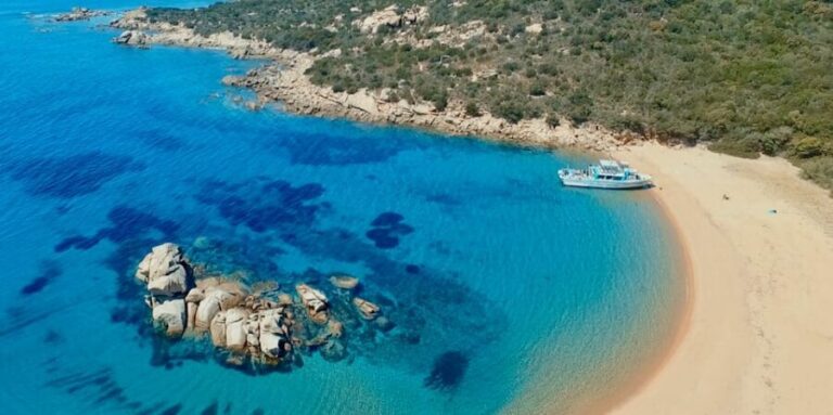 Journée bateau PLAGES, CRIQUES,CALANQUES sauvages - Why This Tour Is a Great Value