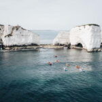 Jurassic Coast Kayaking Tour to Old Harry Rocks - Wildlife and Edible Seaweeds: Nature’s Classroom