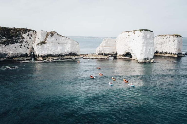 Jurassic Coast Kayaking Tour to Old Harry Rocks - Wildlife and Edible Seaweeds: Nature’s Classroom