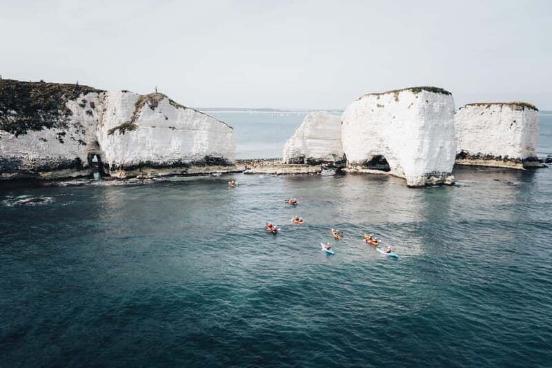 Jurassic Coast Kayaking Tour to Old Harry Rocks - Wildlife and Edible Seaweeds: Nature’s Classroom