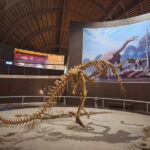 Jurassic Museum of Asturias Guided Tour from Oviedo - What Makes This Tour Stand Out?
