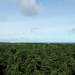 Jurmala sunset tour - An In-Depth Look at the Jurmala Sunset Tour