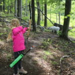 Kahlenberg Vienna: 3D-Archery Park Entry-Ticket & Equipment - Equipment and Training