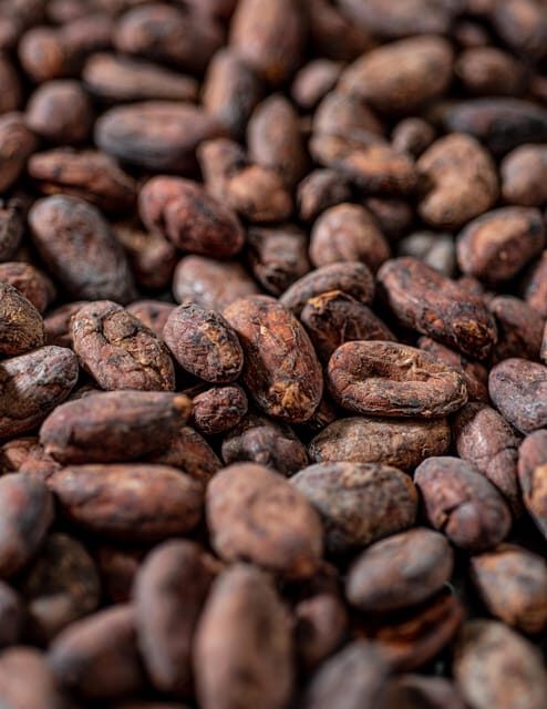 KAIACAO Bean to Bar and Design your own chocolate experience - What Makes This Tour Stand Out?