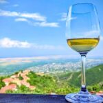 Kakheti Wine Tour for beginners - 3 wineries - Final Thoughts: Is It Worth It?